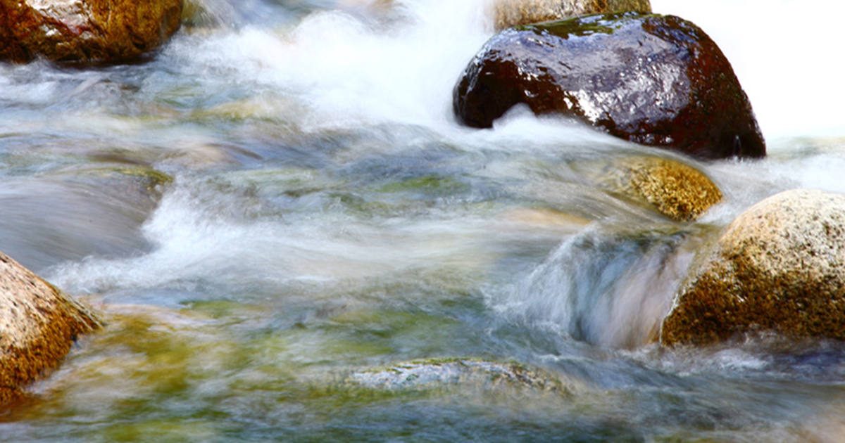 Création de bassins en ruisseaux dans les Hauts de France