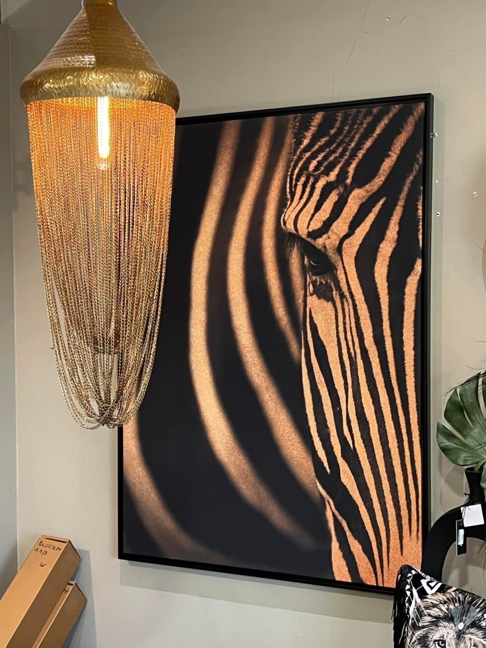 Magasin de décoration Arras, Le Touquet, Lille → déco intérieur / extérieur